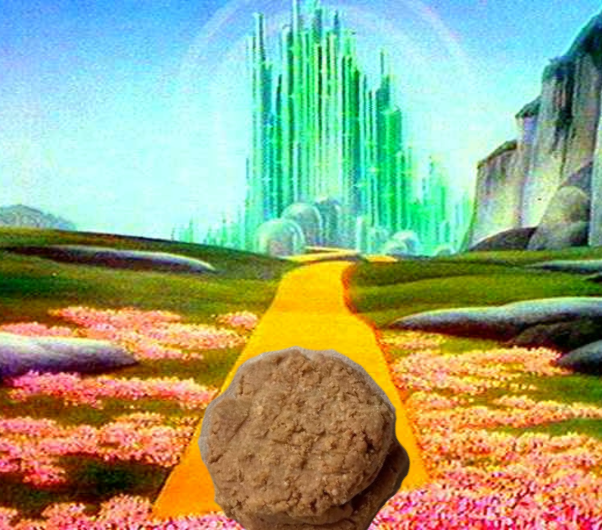 total nut job – goodsugar